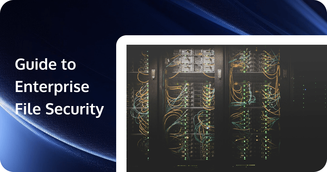 Best Practices for File Security in the Digital Age